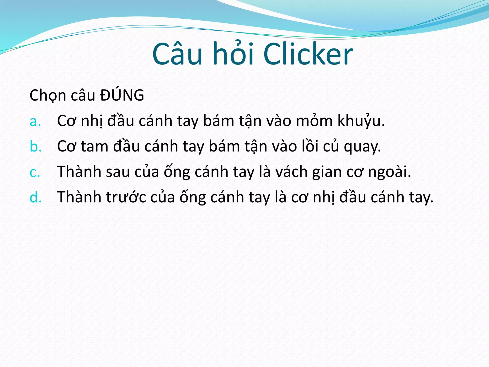 vung_vai-canh_tay.pptx