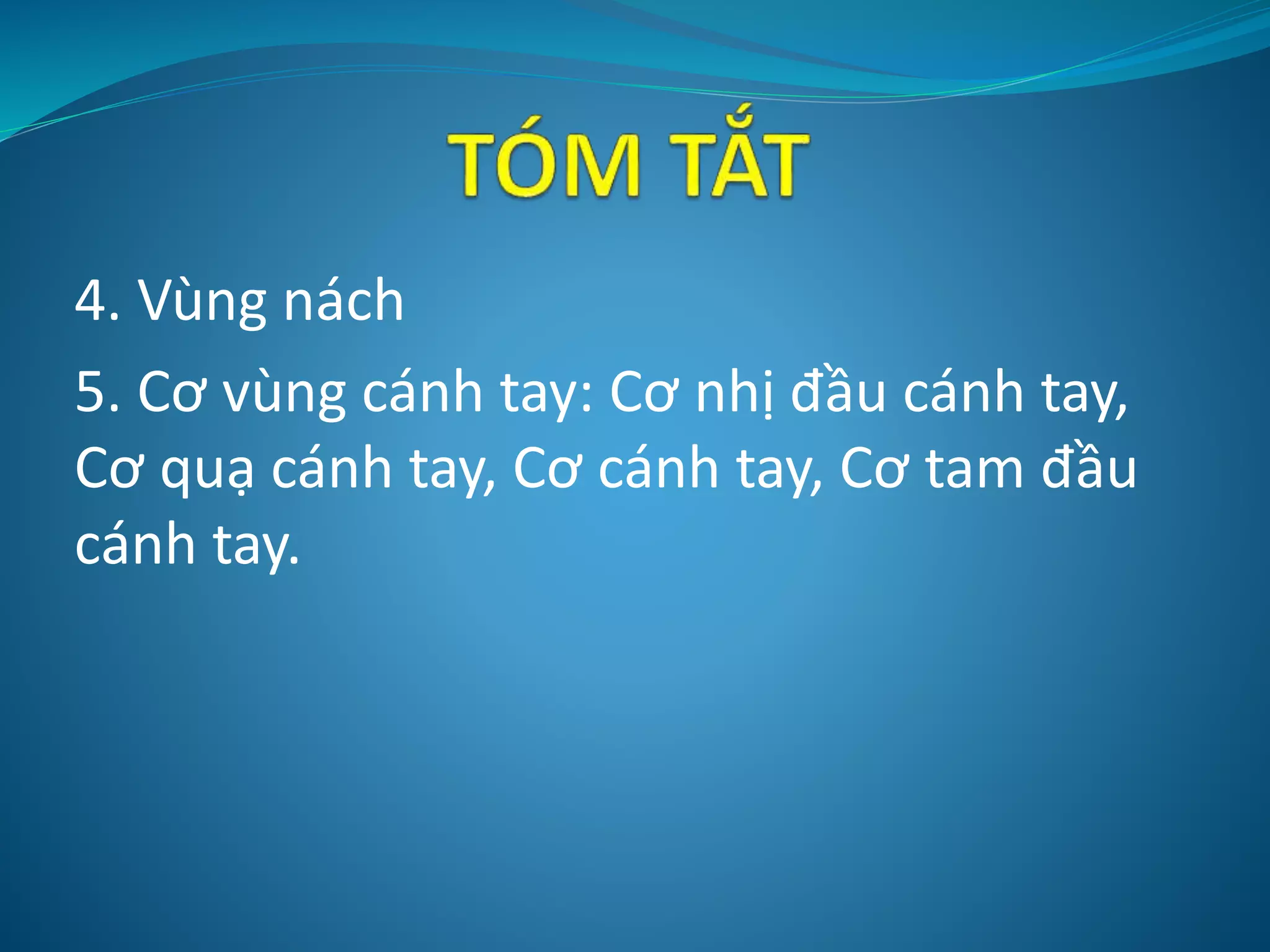 vung_vai-canh_tay.pptx