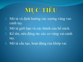 vung_vai-canh_tay.pptx