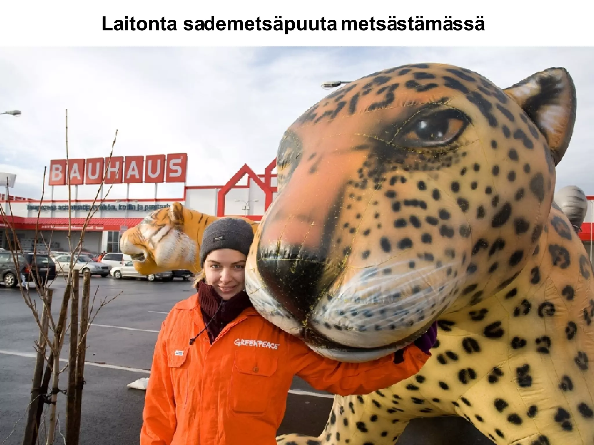 Vuosi Kuvina 2007 | PPT