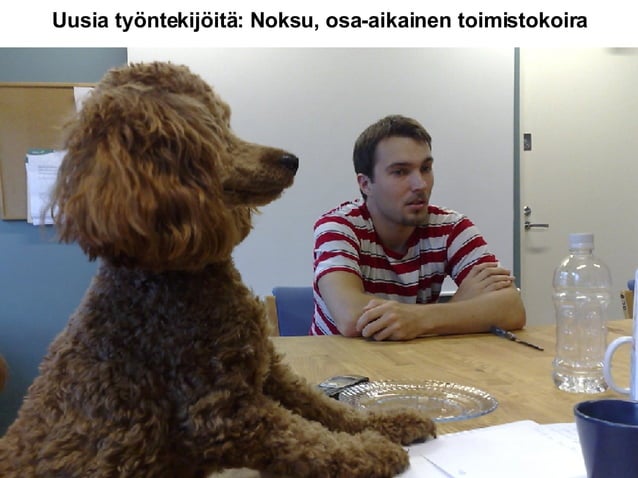 Vuosi Kuvina 2007 | PPT