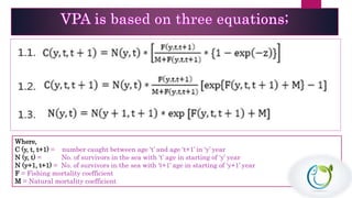Vurtual population analysis ( VPA) | PPTX