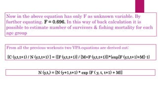 Vurtual population analysis ( VPA) | PPTX