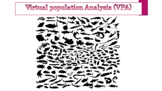 Vurtual population analysis ( VPA) | PPTX