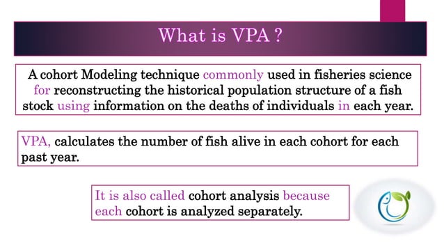 Vurtual population analysis ( VPA) | PPTX | Fishing Sports | Sports
