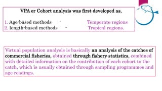 Vurtual population analysis ( VPA) | PPTX