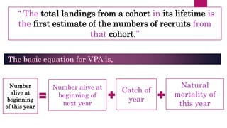 Vurtual population analysis ( VPA) | PPTX