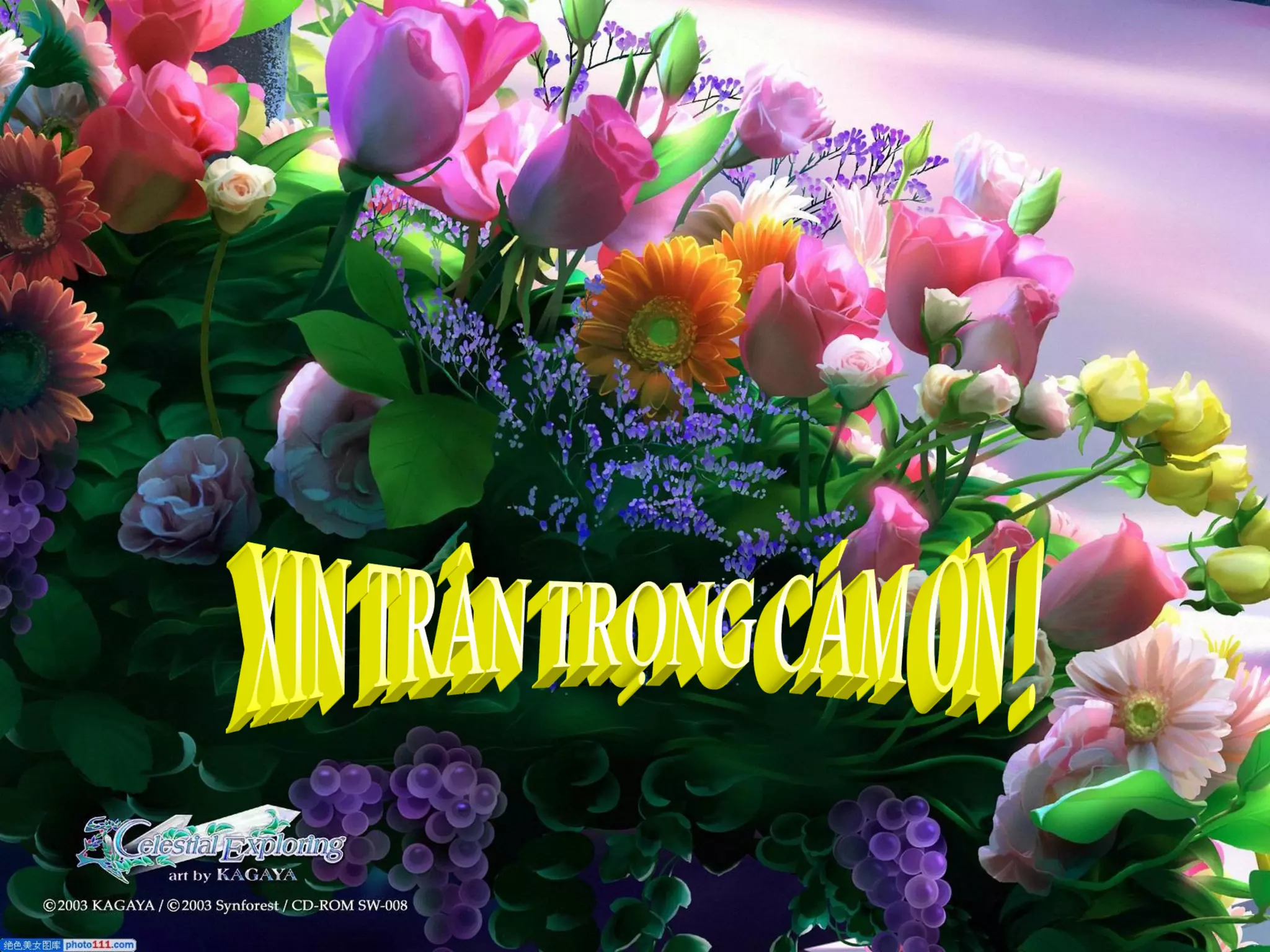 Vu thi van yen | PDF