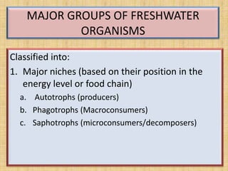 Freshwater Ecology | PPTX