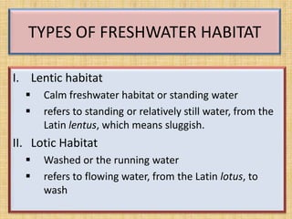 Freshwater Ecology | PPTX