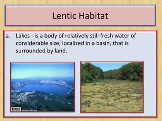 Freshwater Ecology | PPTX