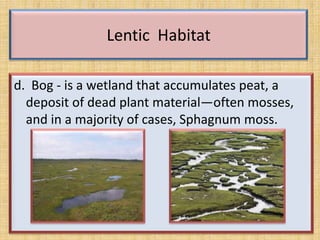 Freshwater Ecology | PPTX