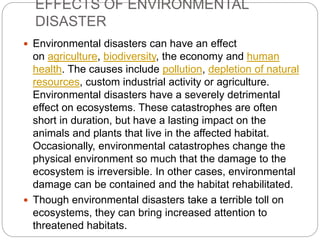Environmental Disaster | PPTX