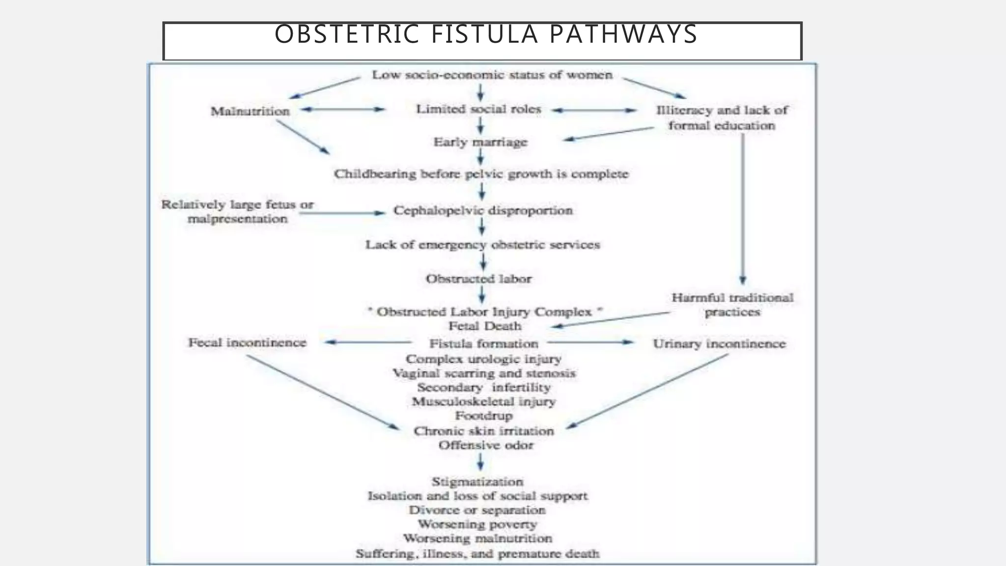 Obstetric fistula | PPTX