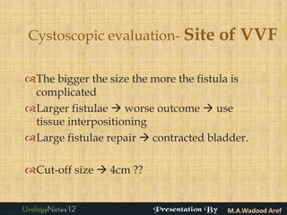 Vesicovaginal fistula evaluation | PDF