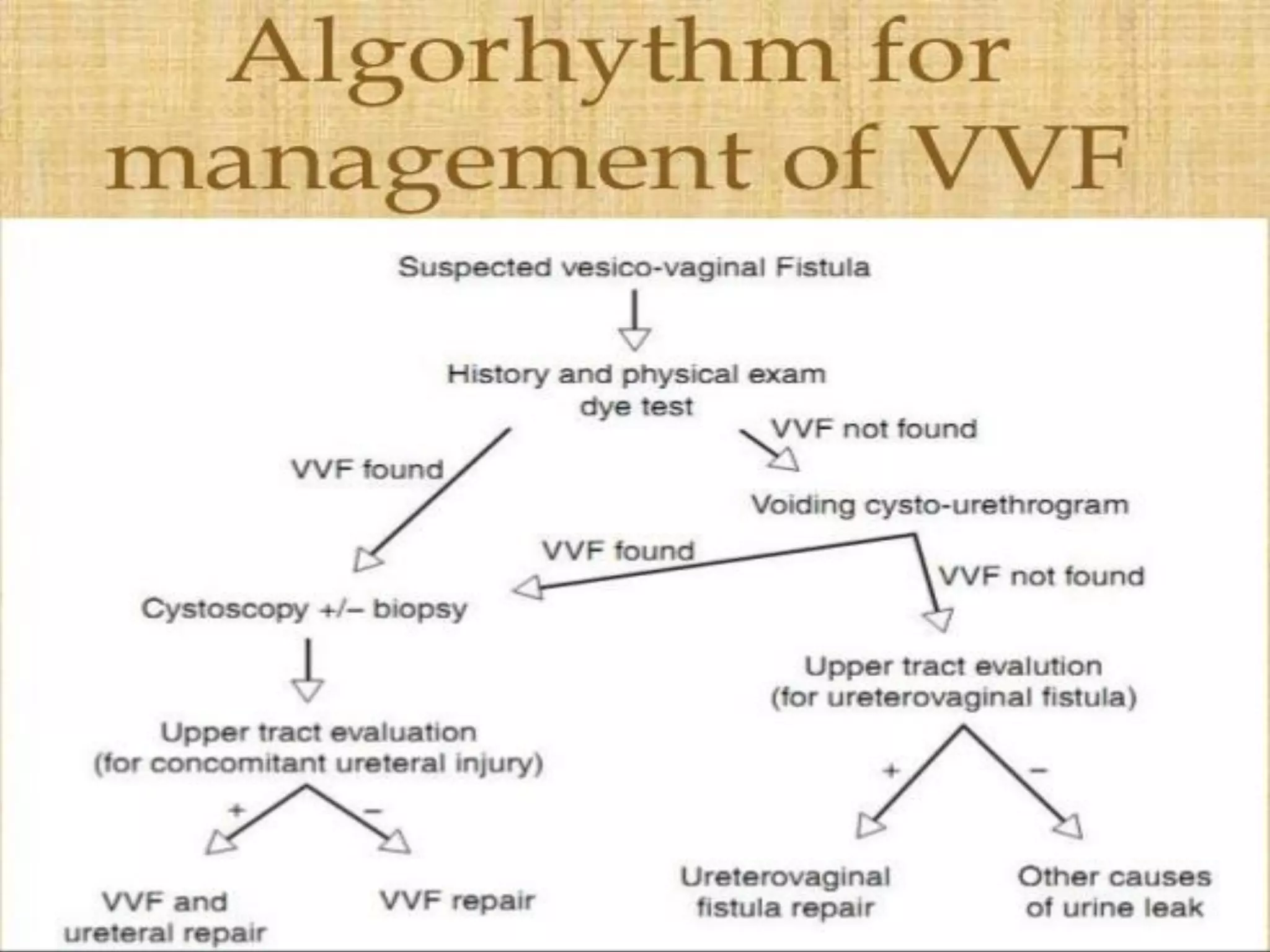 Vesico-Vaginal Fistula (VVF) | PDF