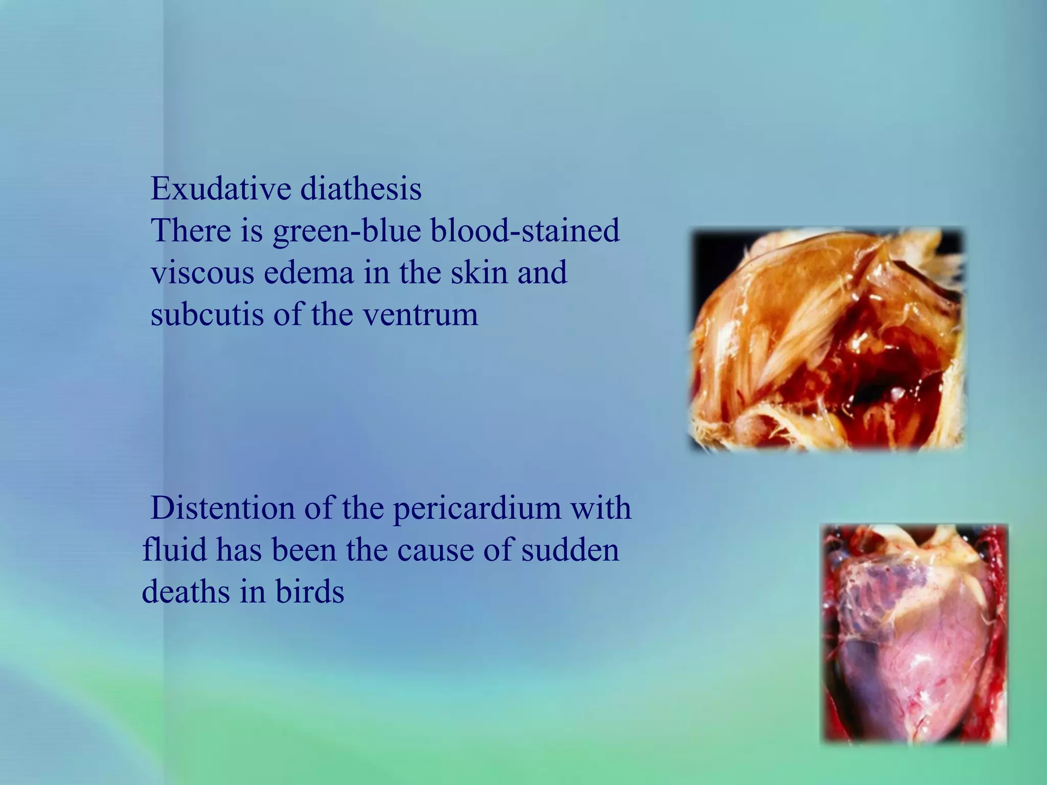 vvit E deficiency1.pdf