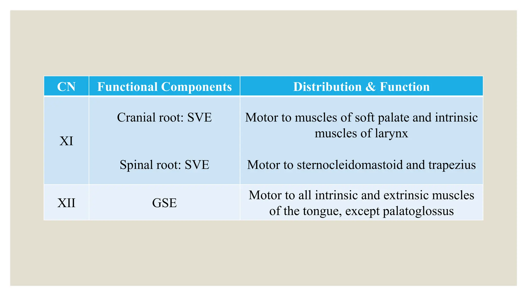 V, VI, VII, VIII Cranial nerves detail.pptx