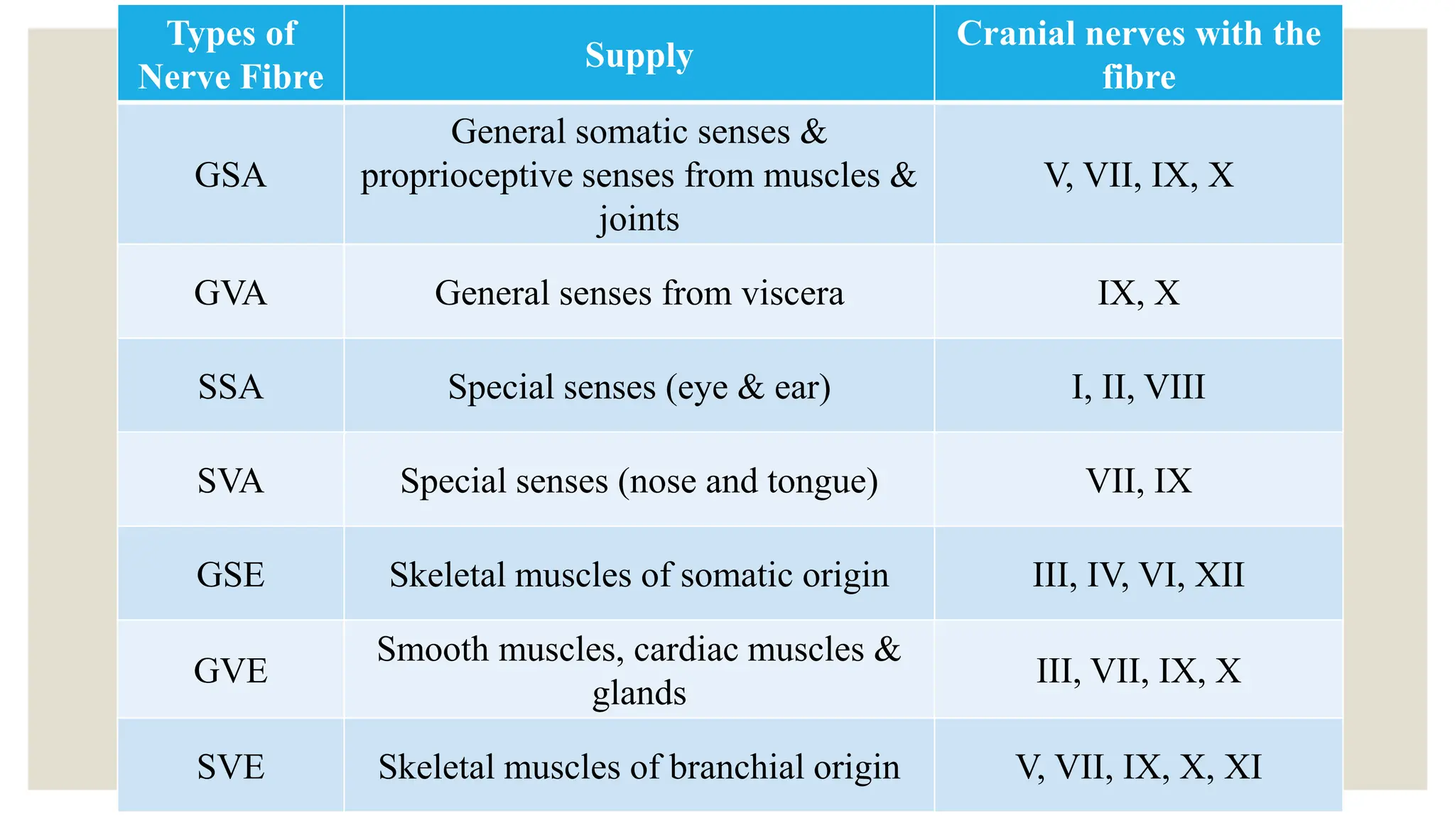 V, VI, VII, VIII Cranial nerves detail.pptx