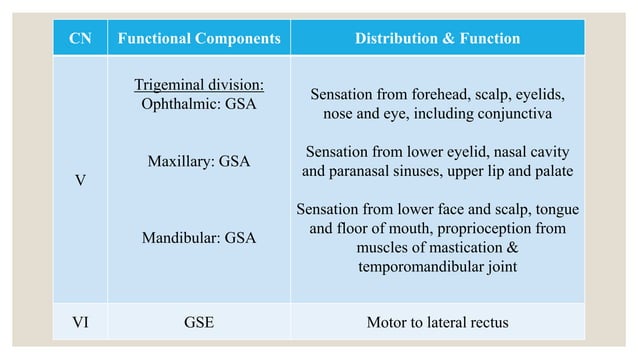 V, VI, VII, VIII Cranial nerves detail.pptx
