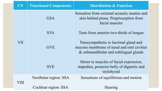 V, VI, VII, VIII Cranial nerves detail.pptx