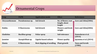 Bio stimulation & Bio remediation Through Rhizosphere Technology | PPTX
