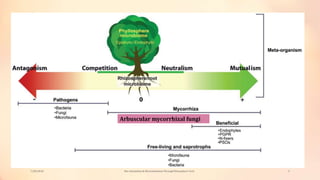 Bio stimulation & Bio remediation Through Rhizosphere Technology | PPTX