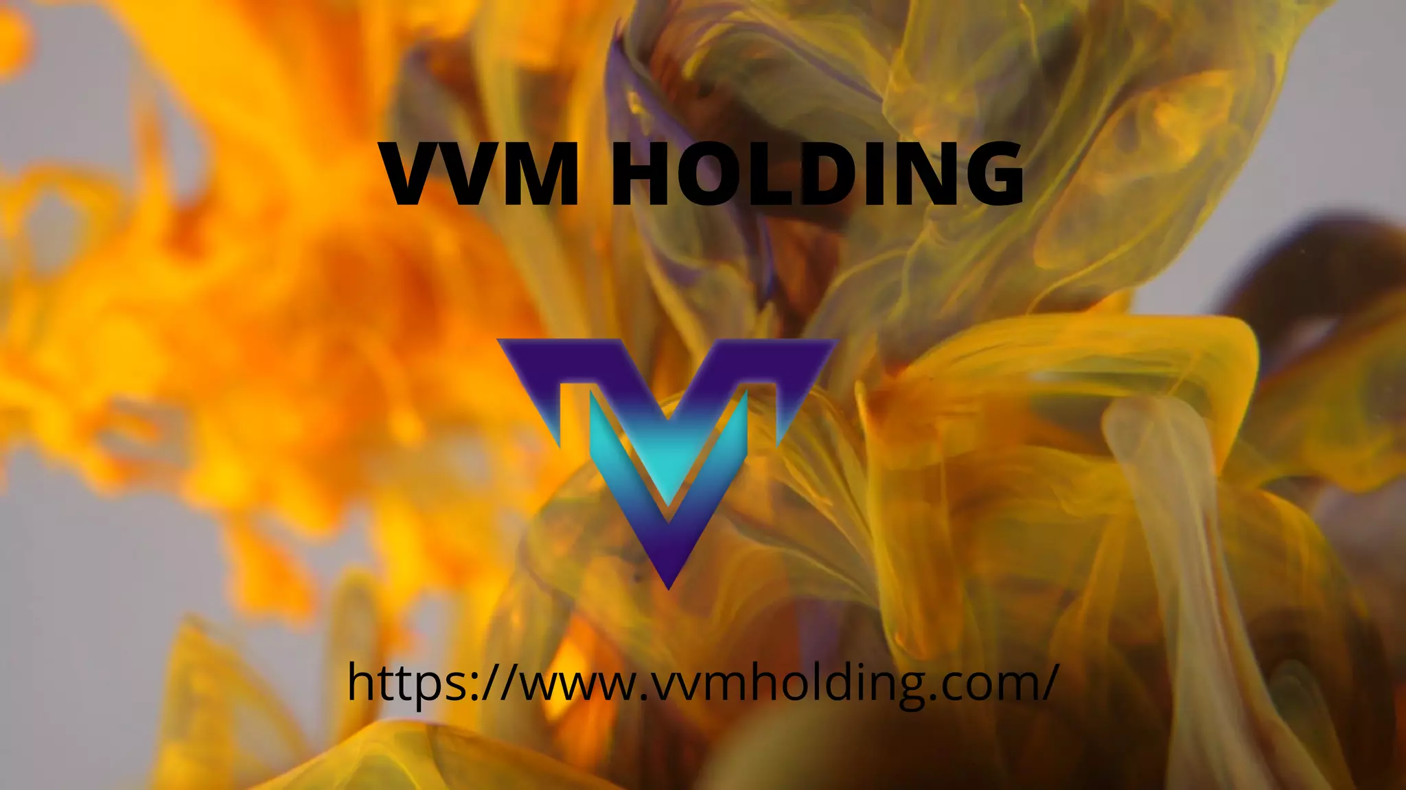 Vvm holding | PPT