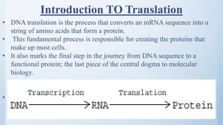 Translation Biology