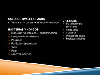 ANALISIS DE ORINA Y SEDIMENTO URINARIO | PPTX