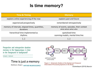 CNS 2019 Mental Models of Time - INTRO | PDF | Brain and Nervous System ...