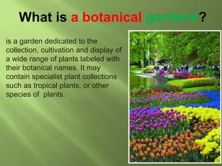 Botanical garden | PPT