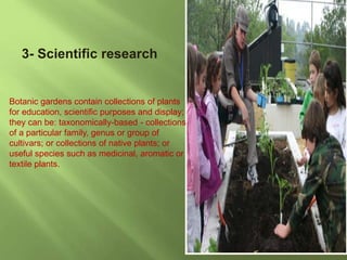 Botanical garden | PPT