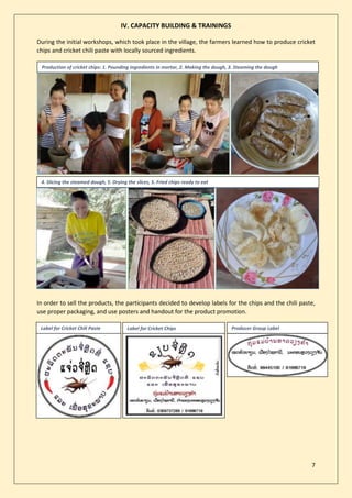 Small-Scale Cricket Farming in Ban Hathviangkham, Laos | PDF