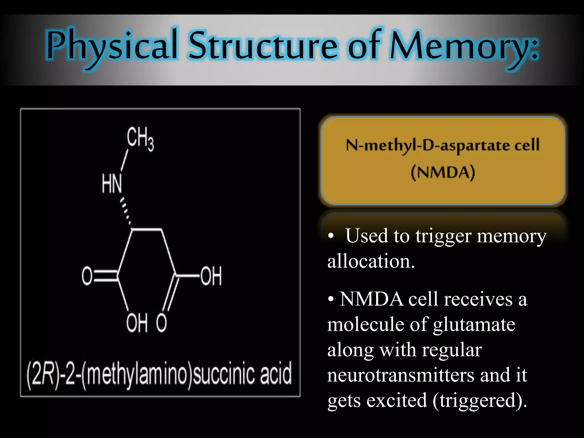 Memory and Forgetting - Psychology | PPSX