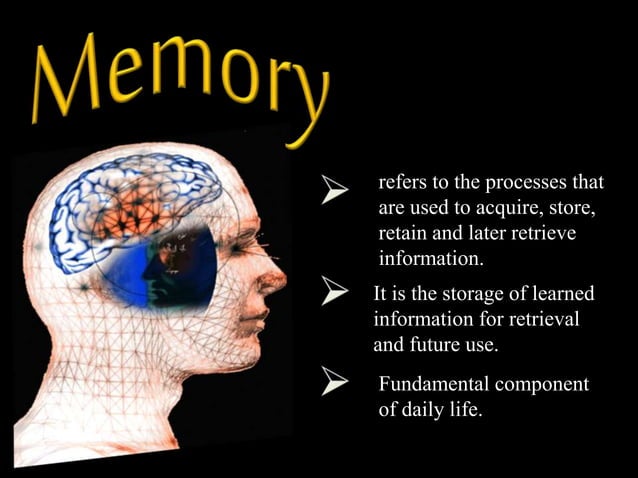 Memory and Forgetting - Psychology | PPSX