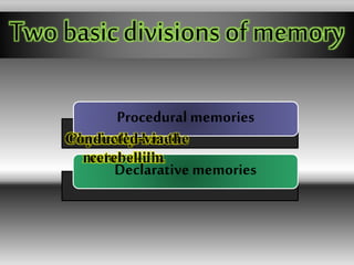 Memory and Forgetting - Psychology | PPSX