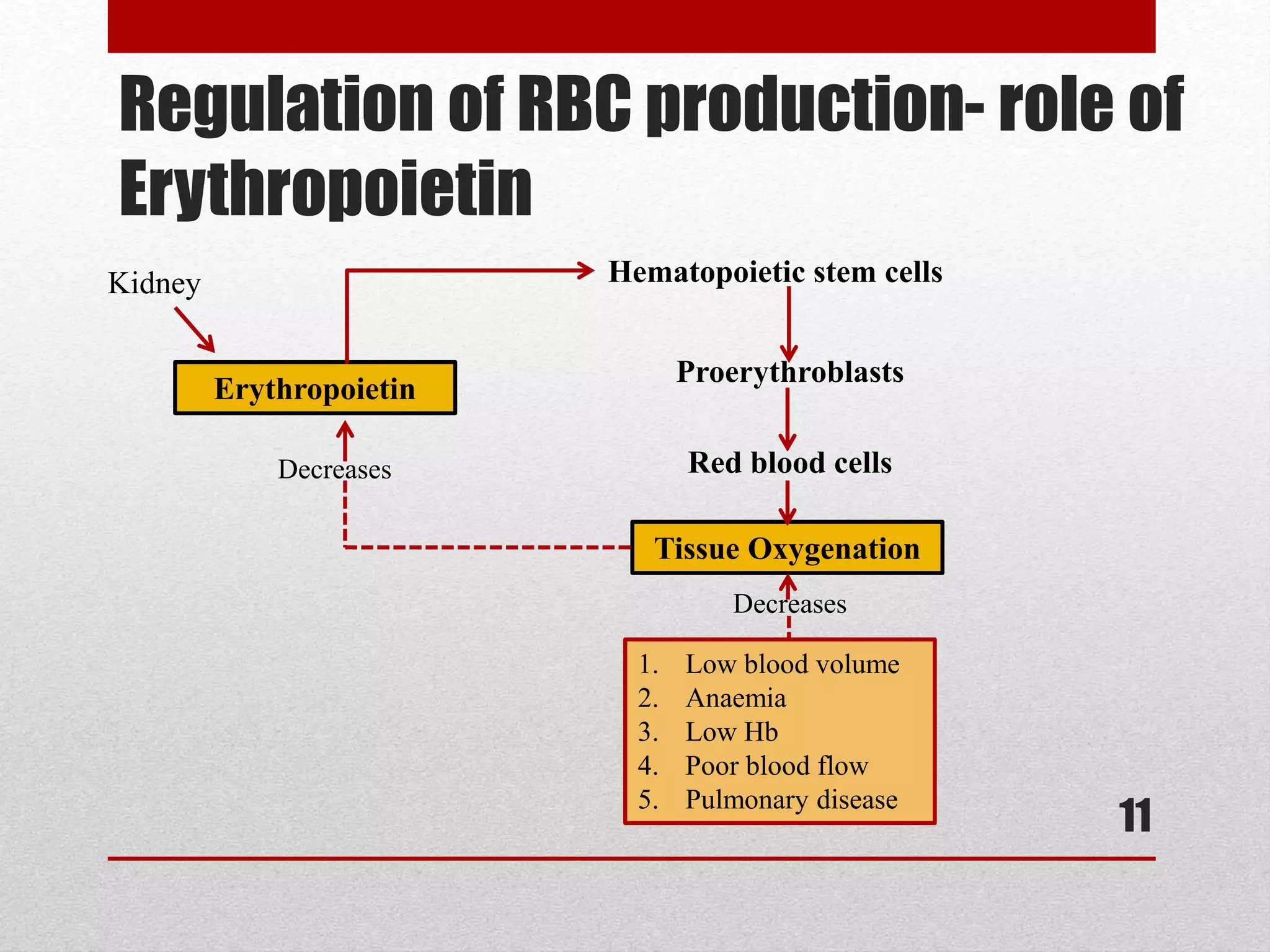 Blood, coagulation of blood & bleeding disorders | PPTX