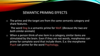 Visual Word Recognition. The Journey from Features to Meaning | PPTX