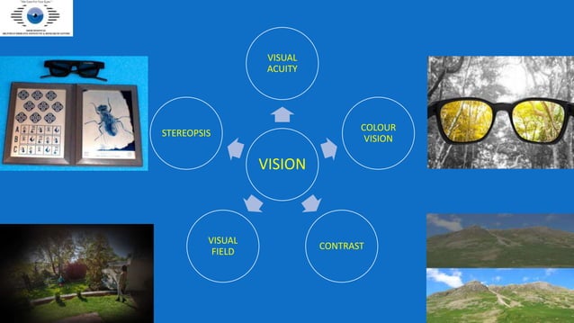 visual_acuity_(1) presentation dhir hospital bhiwani.pptx