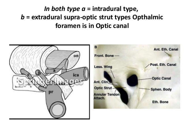 L-OCR & M-OCR 360°