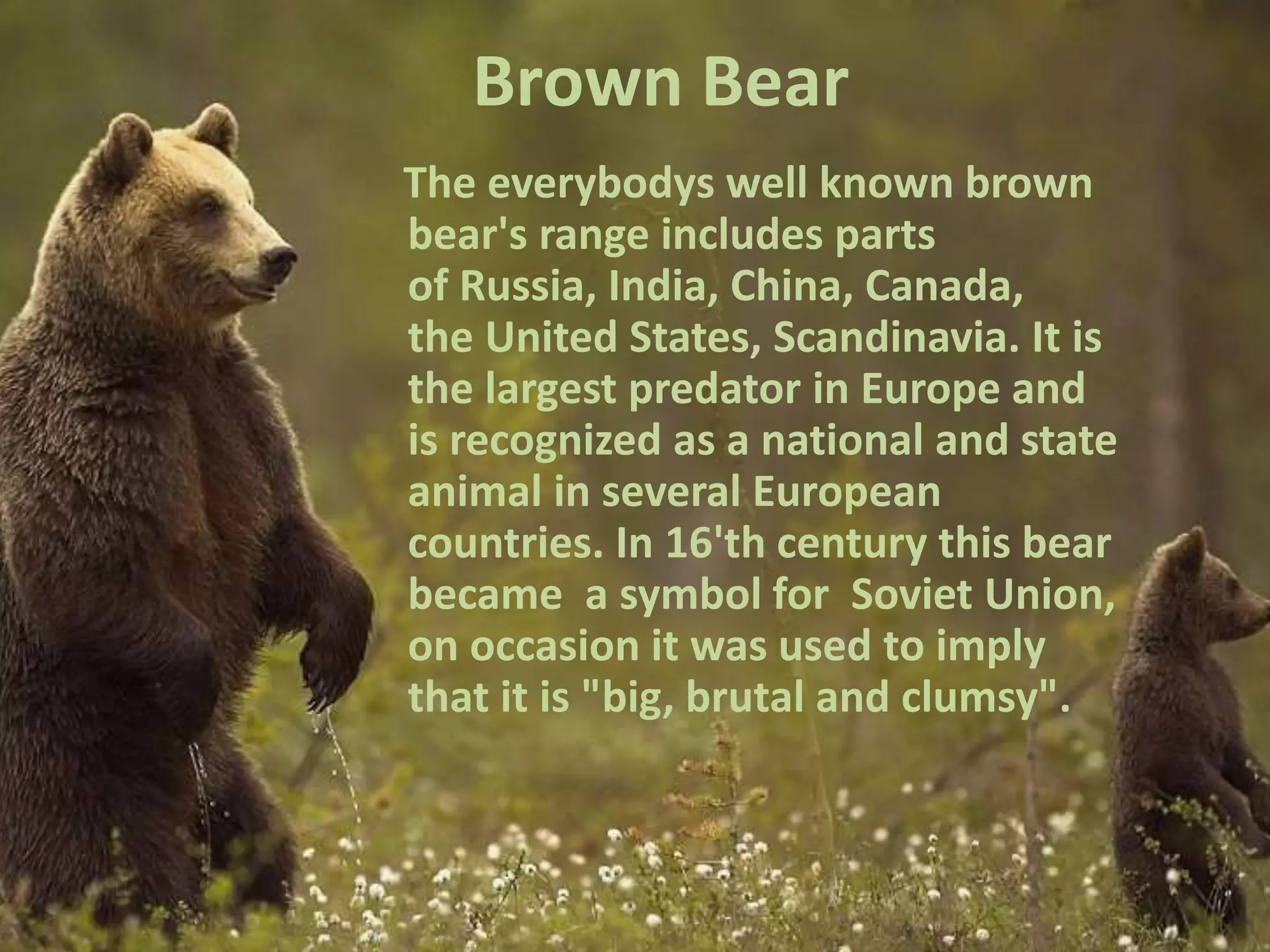 Animals in Lithuania | PPTX