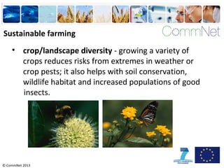 Sustainable food production and processing | PPT