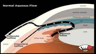 Vyzulta drug Presentation | PPTX