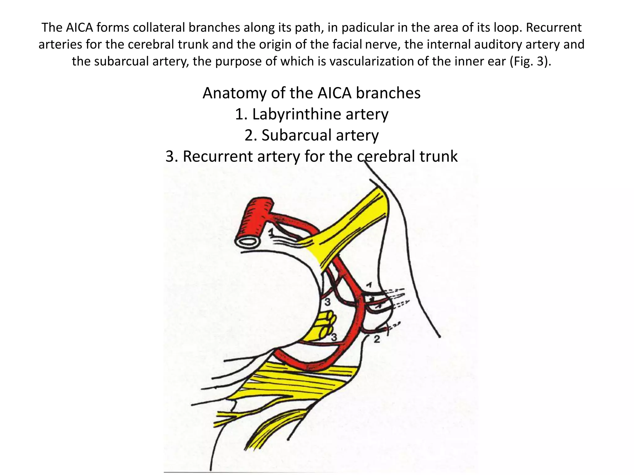 CP angle 360° | PPTX