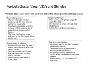 VZV.pptx | Infectious Diseases | Diseases and Conditions