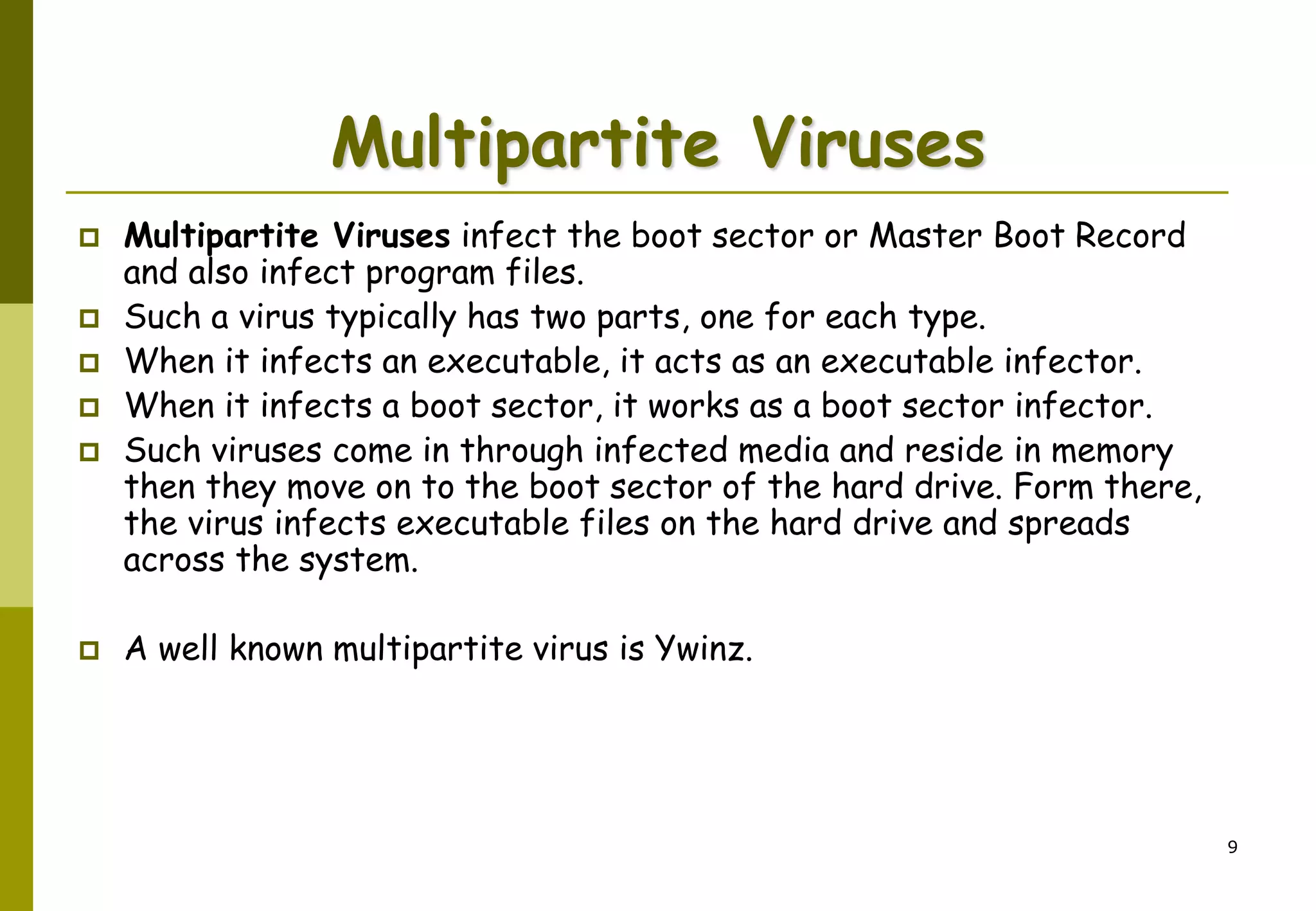 Computer Viruses and Classification lecture slides ppt | PPT