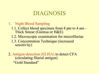 Wuchereria Bancrofti Slide