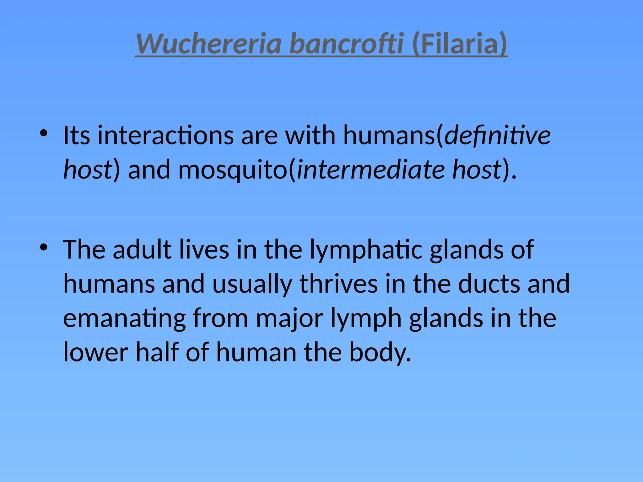 W. bancrofti. MLT GROUP Presentation.pptx | Infectious Diseases | Diseases and Conditions