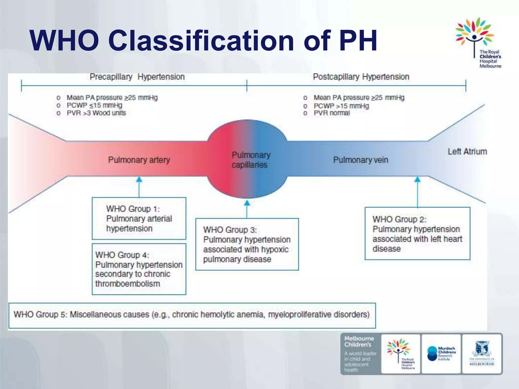 Pulmonary hypertension and ICU therapies by Dr Bennett Sheridan | PPTX